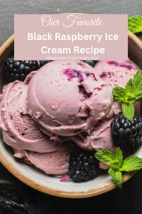 Our Favorite Black Raspberry Ice Cream Recipe - Ninja Creami Ice Cream ...