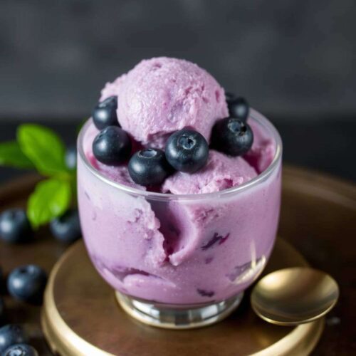 Refreshing Blueberry Sorbet Recipe - Ninja Creami Ice Cream Recipes ...