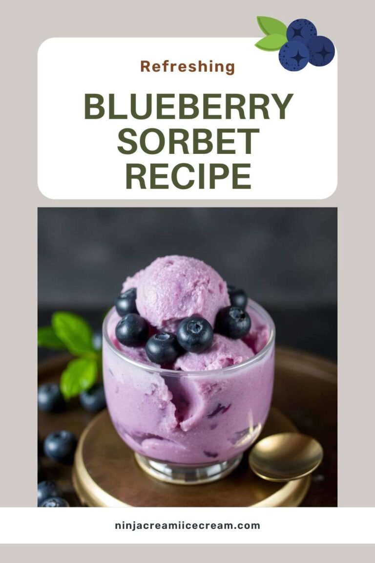 Refreshing Blueberry Sorbet Recipe - Ninja Creami Ice Cream Recipes ...